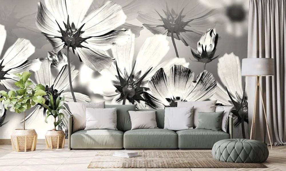 Samolepící tapeta květiny v černobílém provedení - 300x200 cm