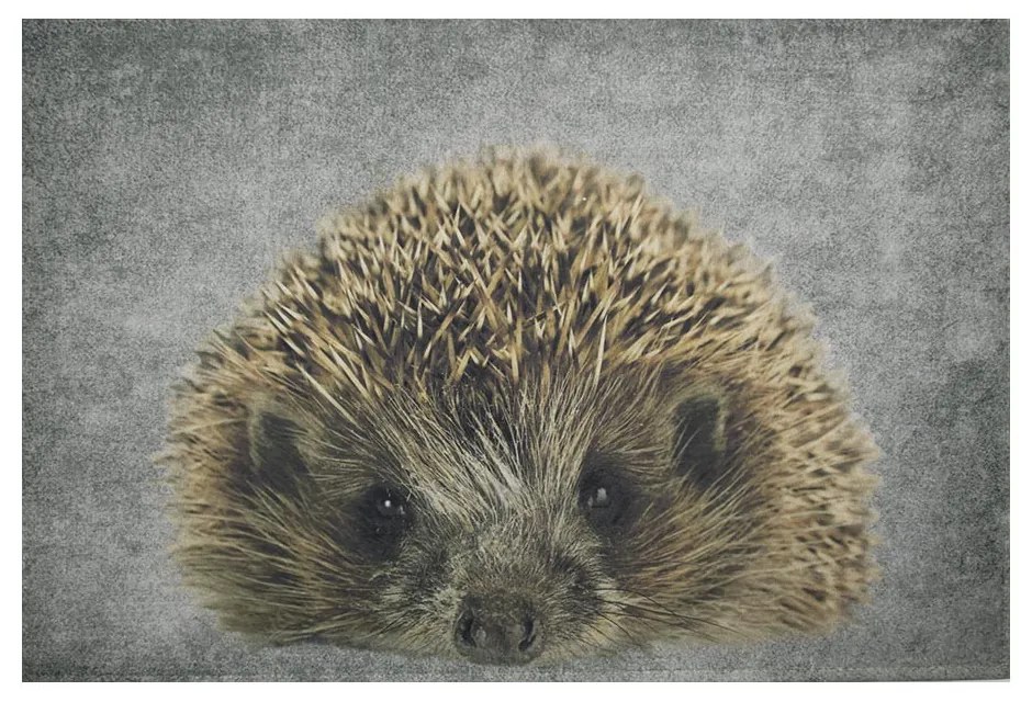 Šedá podlahová rohožka Ježek - 75*50*1cm