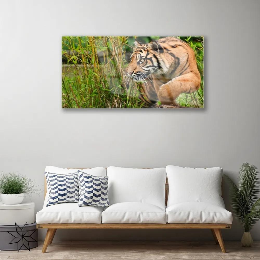 Obraz na skle Tygr Zvířata 140x70 cm