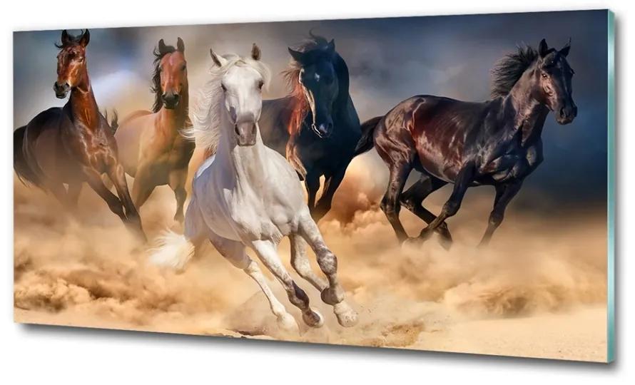Wallmuralia Foto-obraz na skle horizontální Koně ve cvalu 100x50