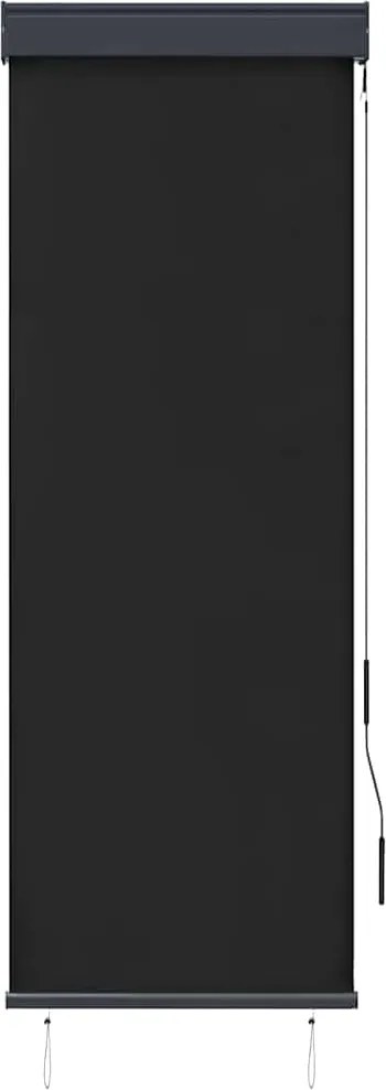Venkovní roleta 60 x 250 cm antracitová 145946