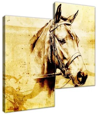 Tištěný obraz Hlava koně 60x60cm 1901A_2J