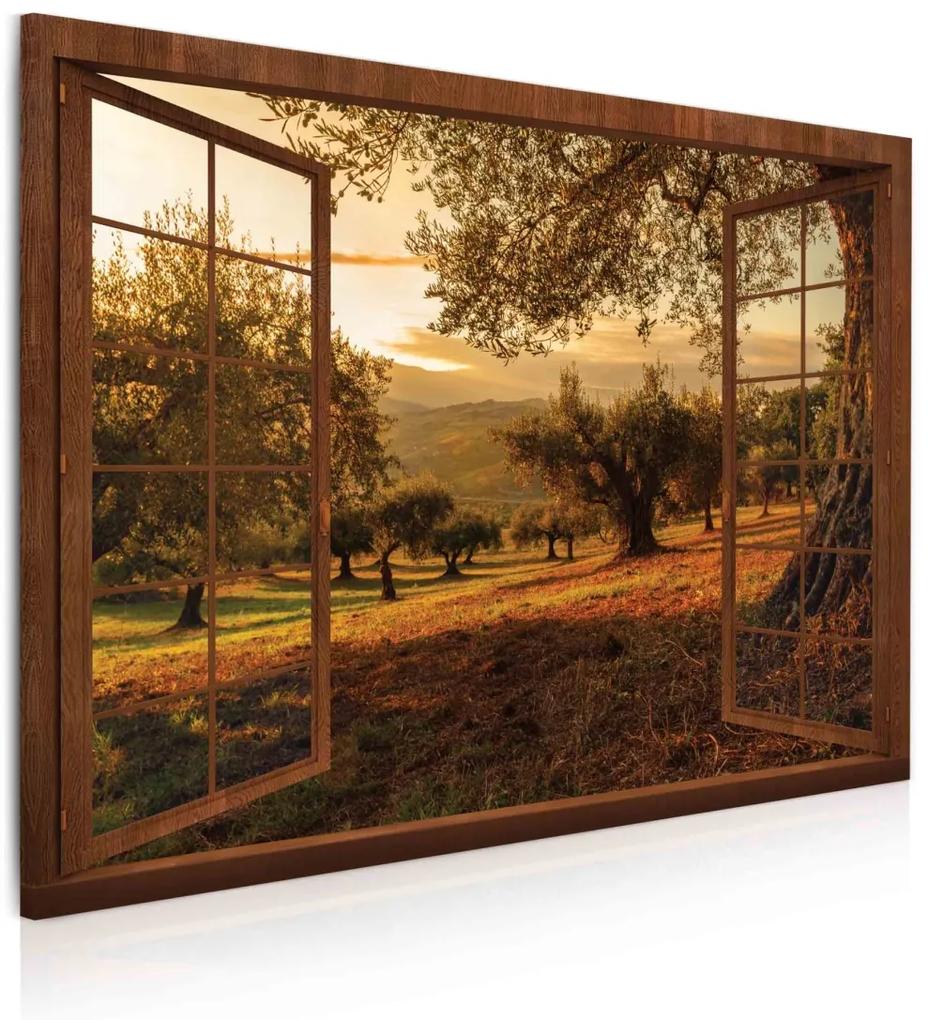 Malvis Malvis Obraz Okno do ráje přírody  150x100 cm