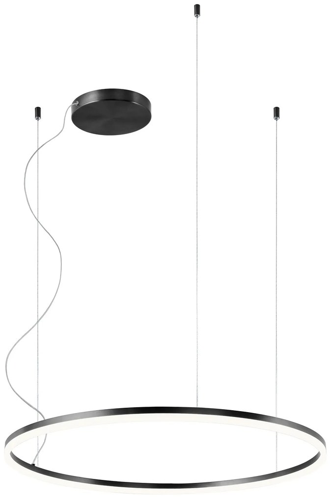 Redo 01-1949-DALI Orbit direct, závěsné kruhové svítidlo, 55W LED 3000K DALI, černá, prům. 80cm