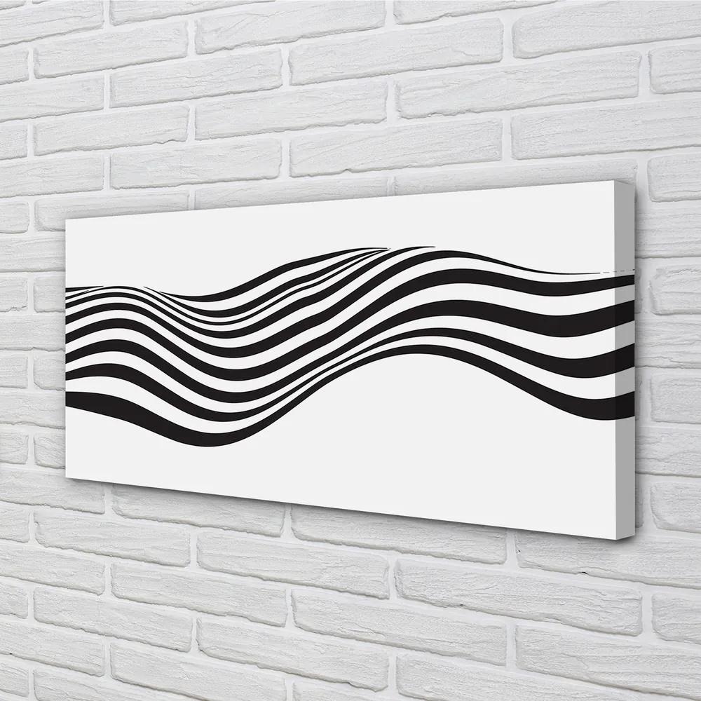Obrazy na plátně Zebra pruhy vlna 100x50 cm