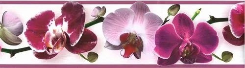 Samolepící bordura B 83-07-02, rozměr 8,3 cm x 5 m, květy orchideje, IMPOL TRADE