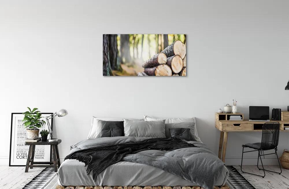 Obrazy na plátně Dříví prales přírodě 120x60 cm