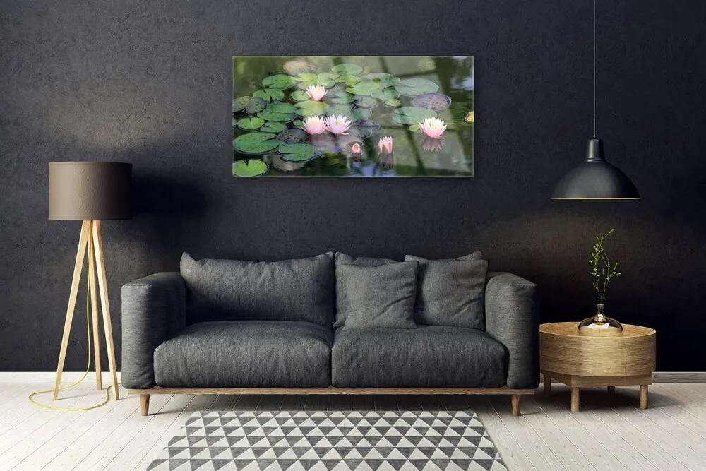 Obraz na skle Vodní Lilie Rybník Příroda 100x50 cm