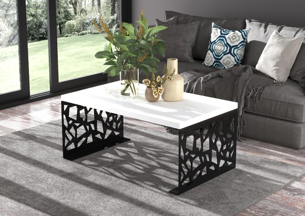 ADRK Furniture Konferenční stolek SEMARA 100x60 CT-SEM-B-W