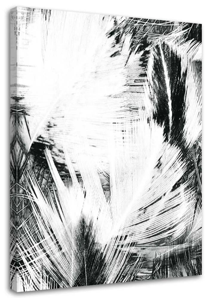 Gario Obraz na plátně Černobílá abstrakce Rozměry: 40 x 60 cm