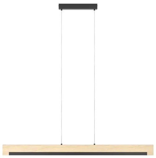 Eglo 99293 - LED Stmívatelný lustr na lanku CAMACHO LED/25,5W/230V