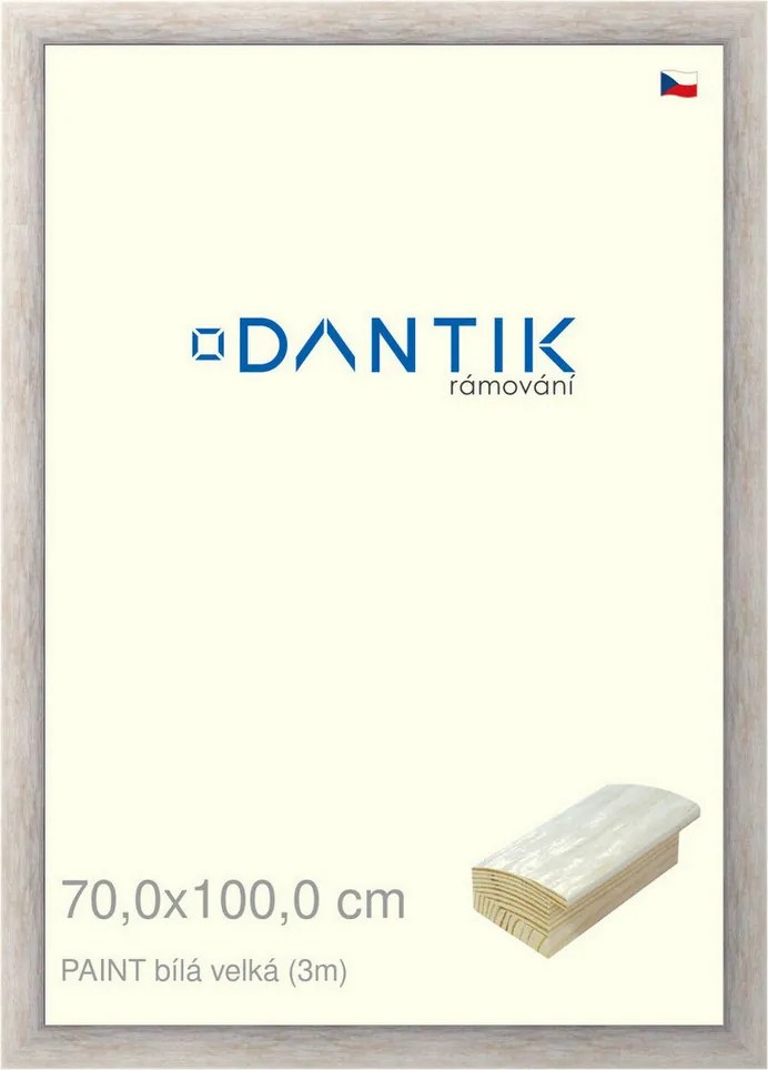 DANTIK rámeček 70x100 | PAINT bílá velká (Plexi Čiré)