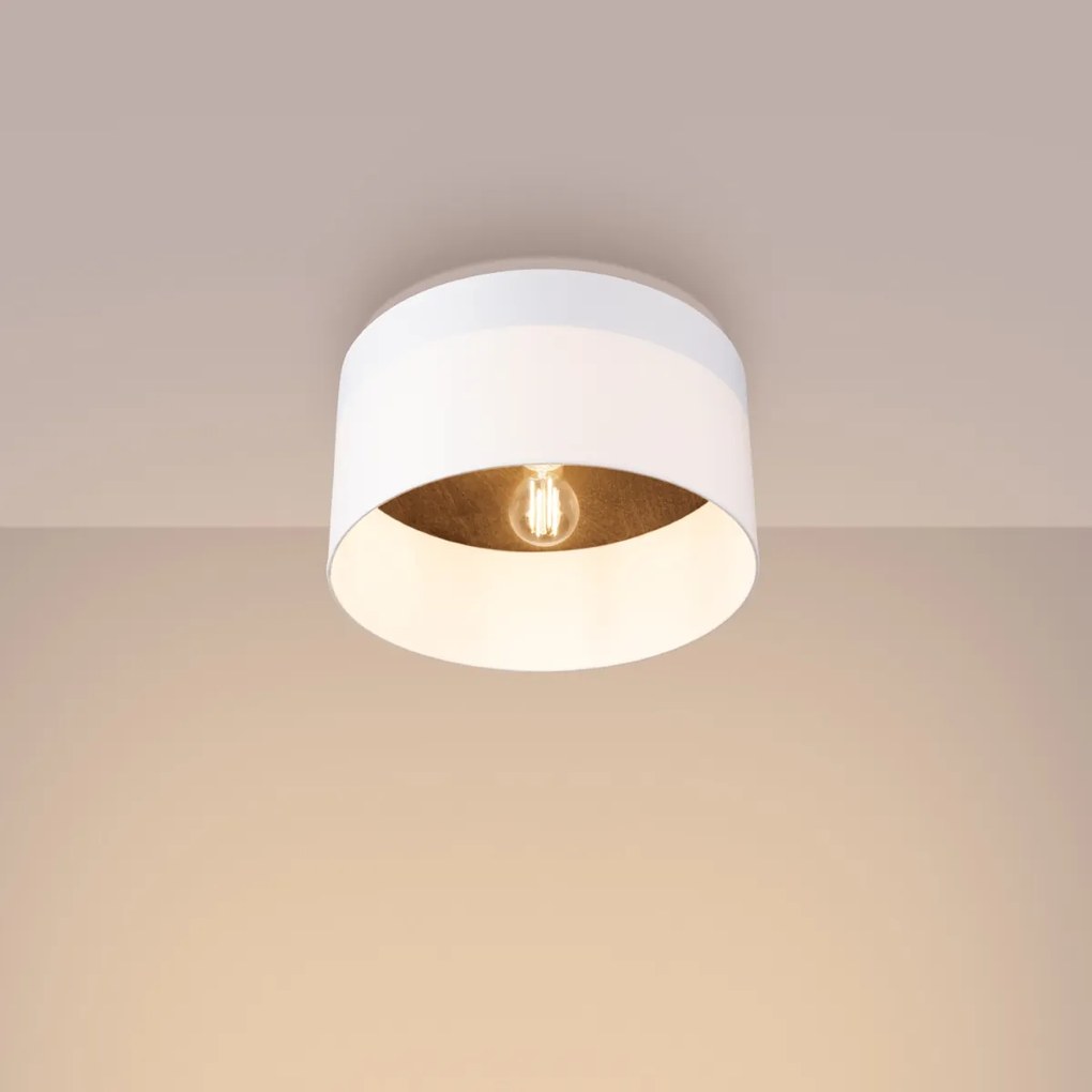 Sollux Lighting Stropní svítidlo TELESTO bílé/tmavě hnědé