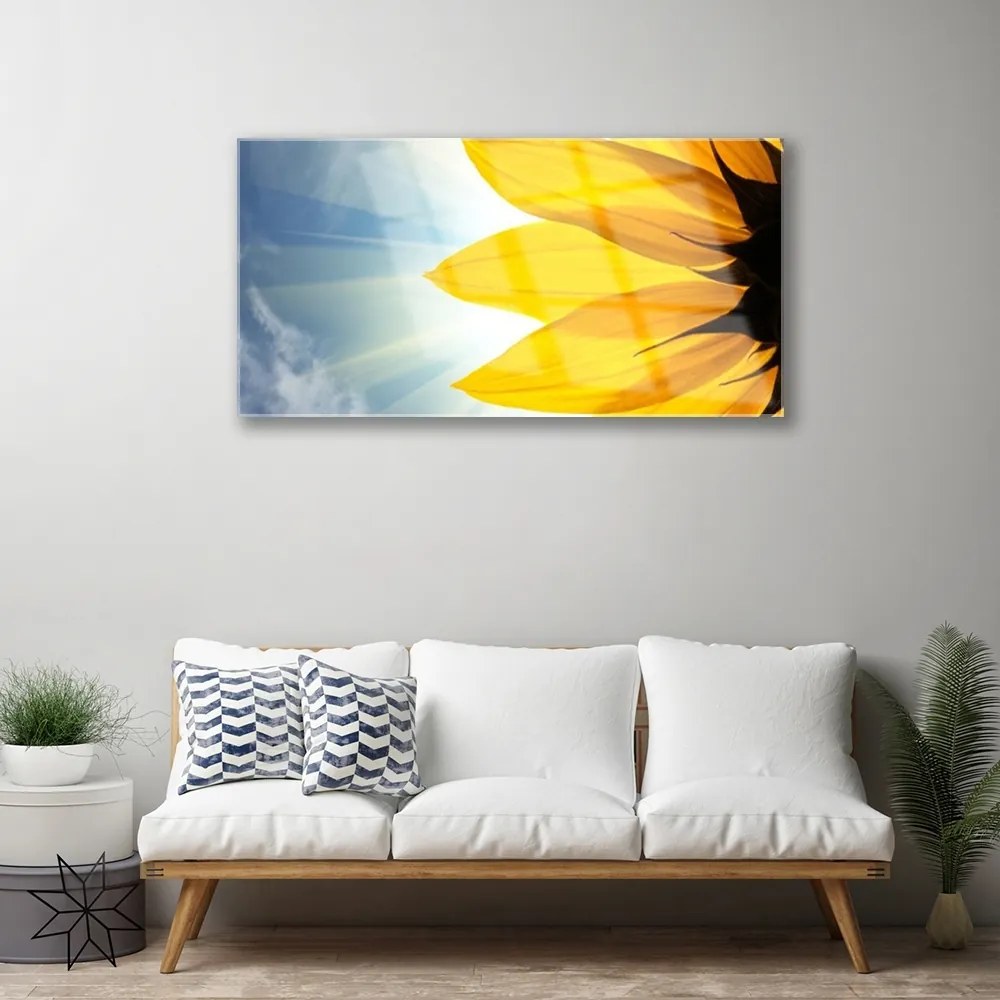 akrylový obraz Plátky Rostlina 100x50 cm