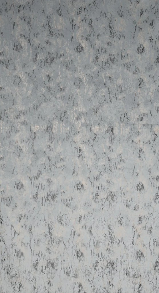 ZATEMŇOVACÍ ZÁVĚS NA KROUŽCÍCH KORNELIE 140X250 CM STŘÍBRNÁ
