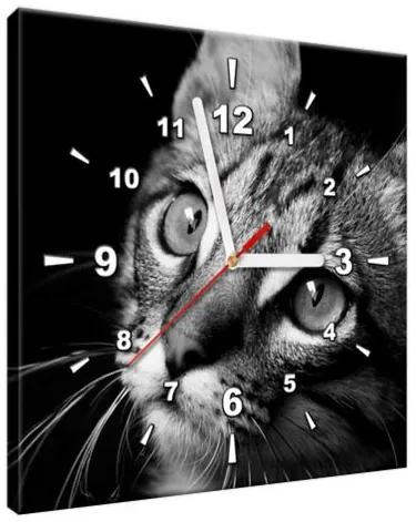 Tištěný obraz s hodinami Kočičí pohled - Visualpanic 30x30cm ZP970A_1AI