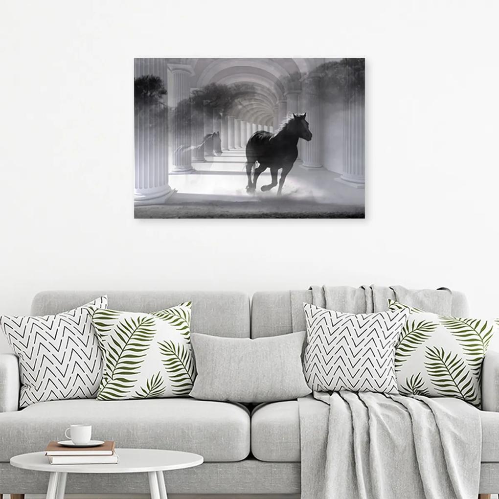 Obraz na plátně, Běh 3D koně - 120x80 cm