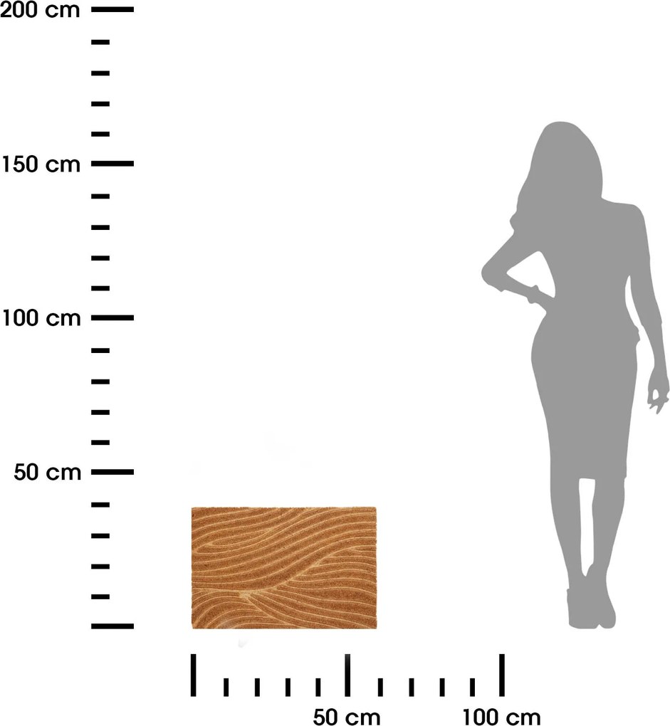 Vnější rohožka Stripe 2, 60x40 cm