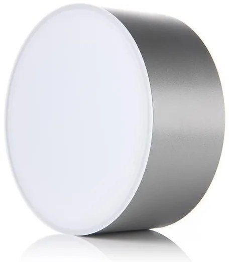 LED2 - LED Stropní svítidlo BUTTON LED/17W/230V stříbrná