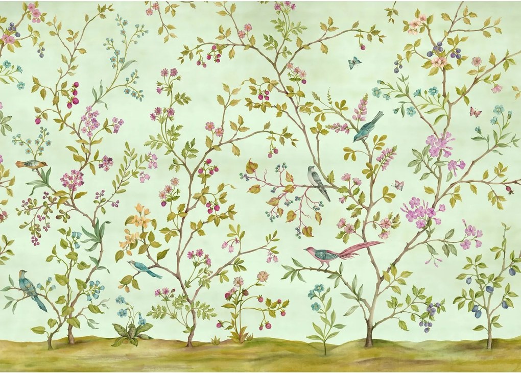 Komar Vliesová fototapeta Oiseaux du Paradis 350 x 250 cm