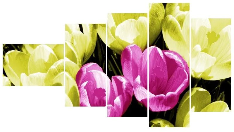 Obraz fialových a zelených květin  (110x60 cm), 40 dalších rozměrů