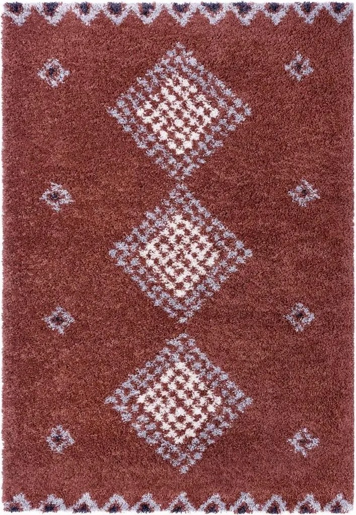 Koberec do obývacího pokoje Shaggy Mint Rugs Cassia 200x290 cm