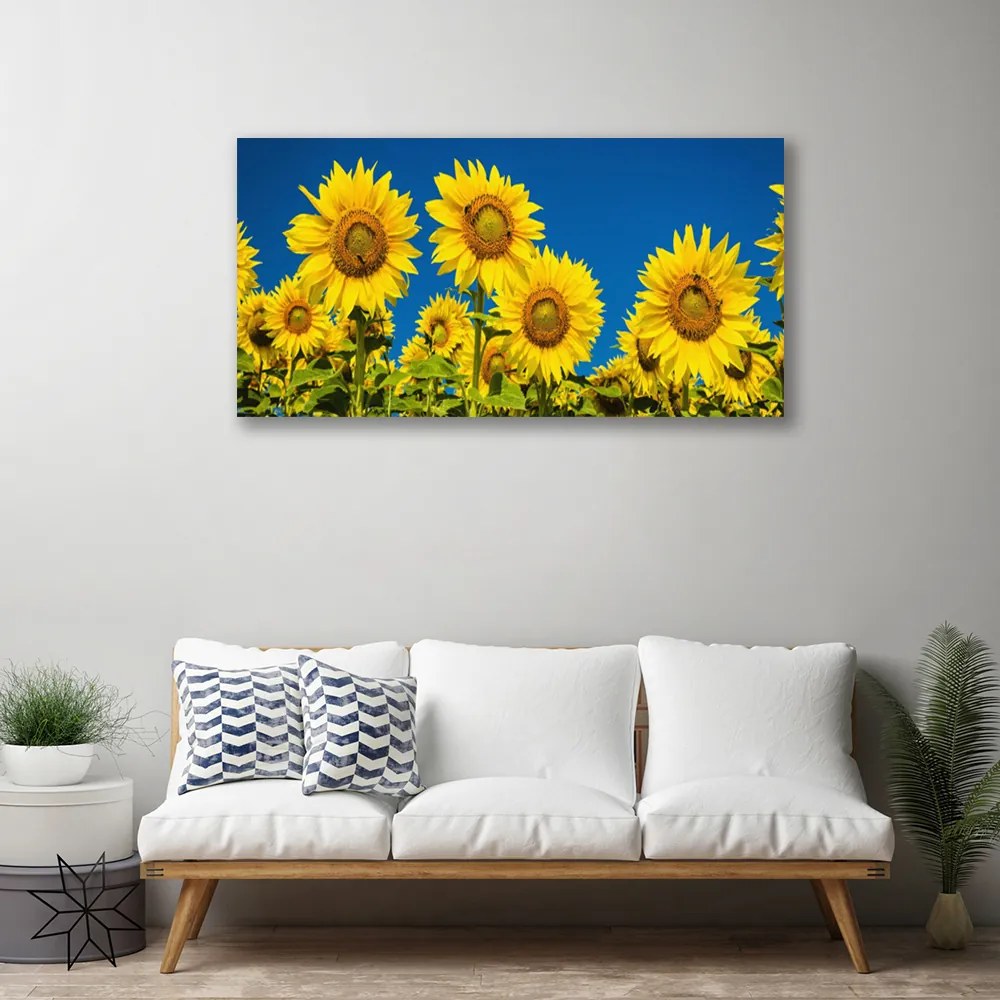 Obraz na plátně Slunečníce Rostlina 125x50 cm