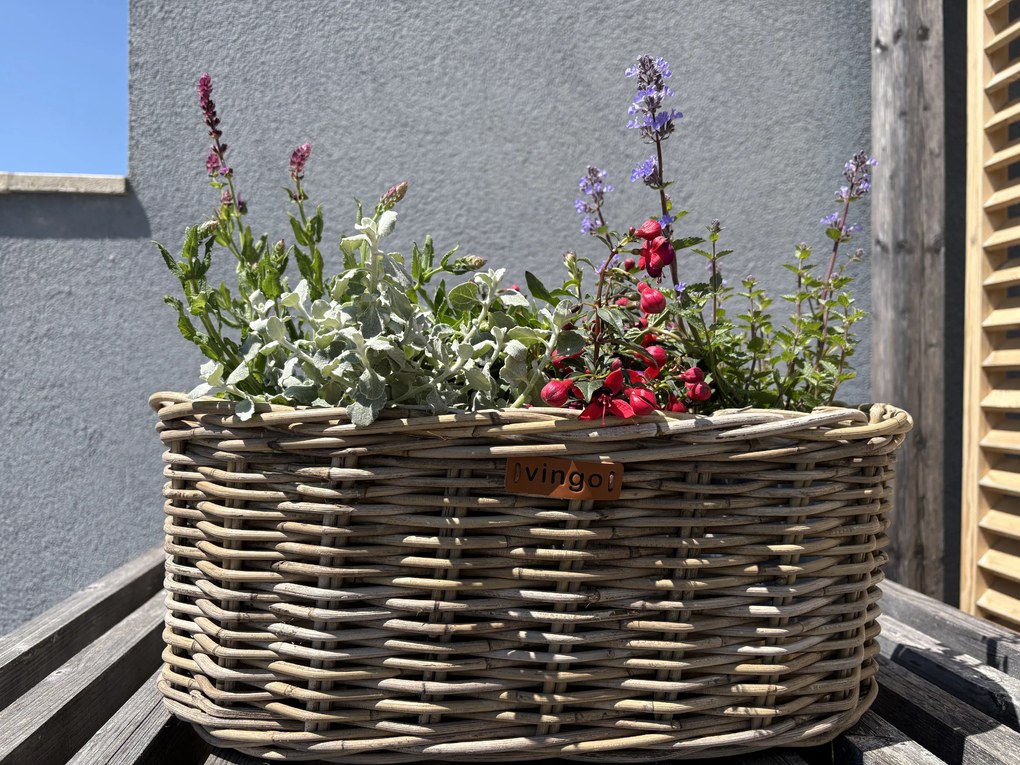 Vingo Ratanový truhlík - oválný Rozměry (cm): 50x25, v. 20