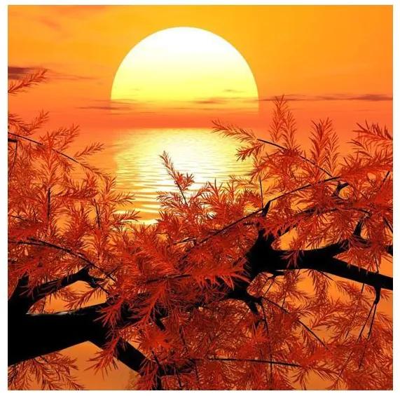 Obraz větve stromu se zapadajícím sluncem  (50x50 cm), 40 dalších rozměrů