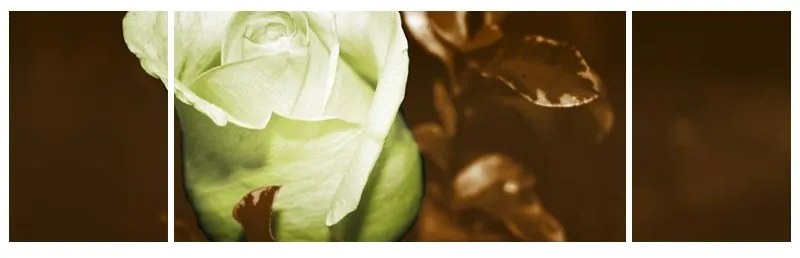 Obraz růže se zeleným květem (170x50 cm), 40 dalších rozměrů