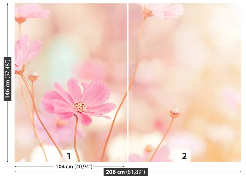 Fototapeta Růžové květy kosmu 104x70