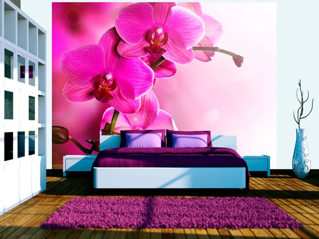 Fototapeta růžová orchidej + lepidlo ZDARMA Velikost (šířka x výška): 150x116 cm