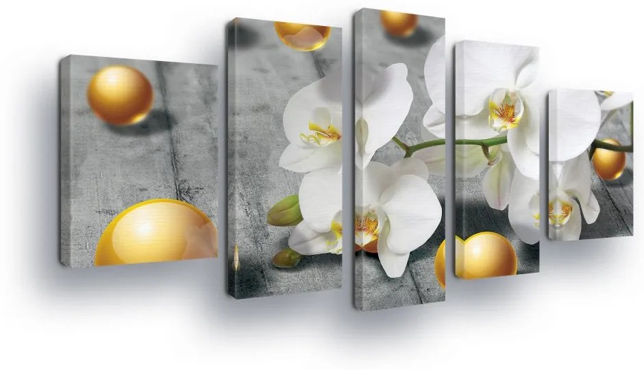 GLIX Obraz na plátně - Bílé Květy se Zlatými Perlami 2 x 40x60 / 2 x 30x80 / 1 x 30x100 cm