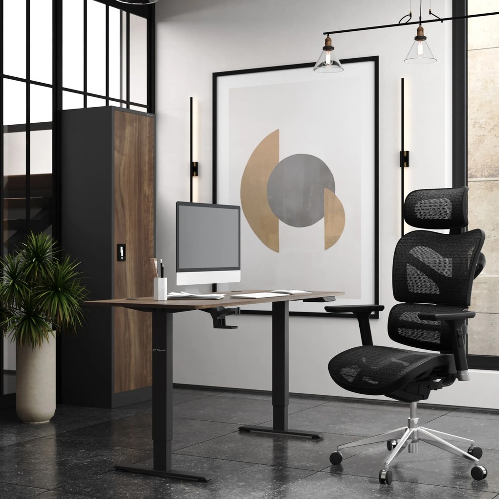 Kovová kancelářská skříň na spisy a dokumenty, antracit/ořech, 450x1850x400 mm: ALEX Eco Design