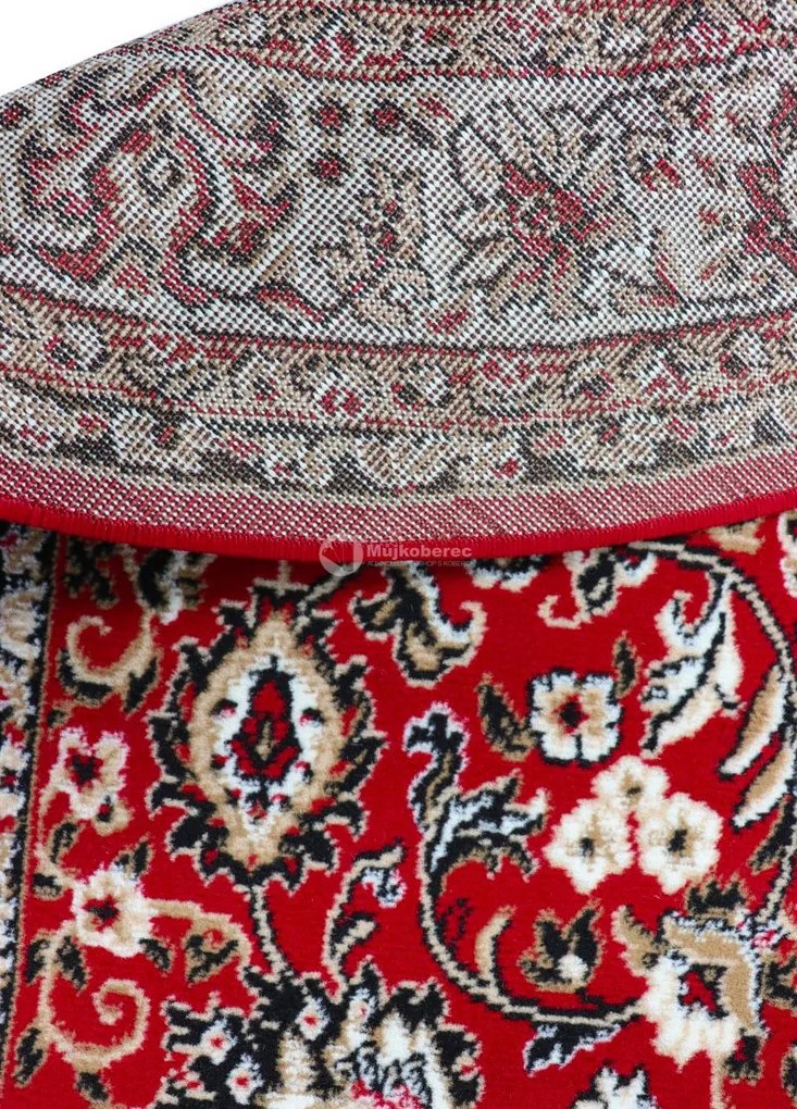 Sintelon, Kusový koberec Teheran Practica 59/CVC ovál, 200x290, červená, chodba / předsíň