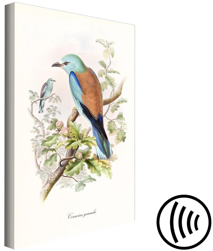 Obraz Pták (1-dílný) - barevní ptáci na větvičkách