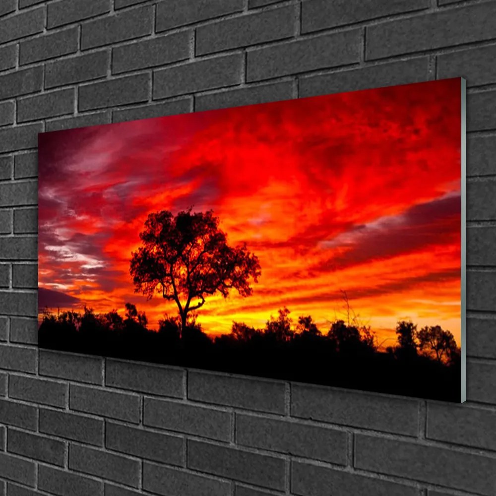 Obraz na skle Les Krajina Příroda 140x70 cm