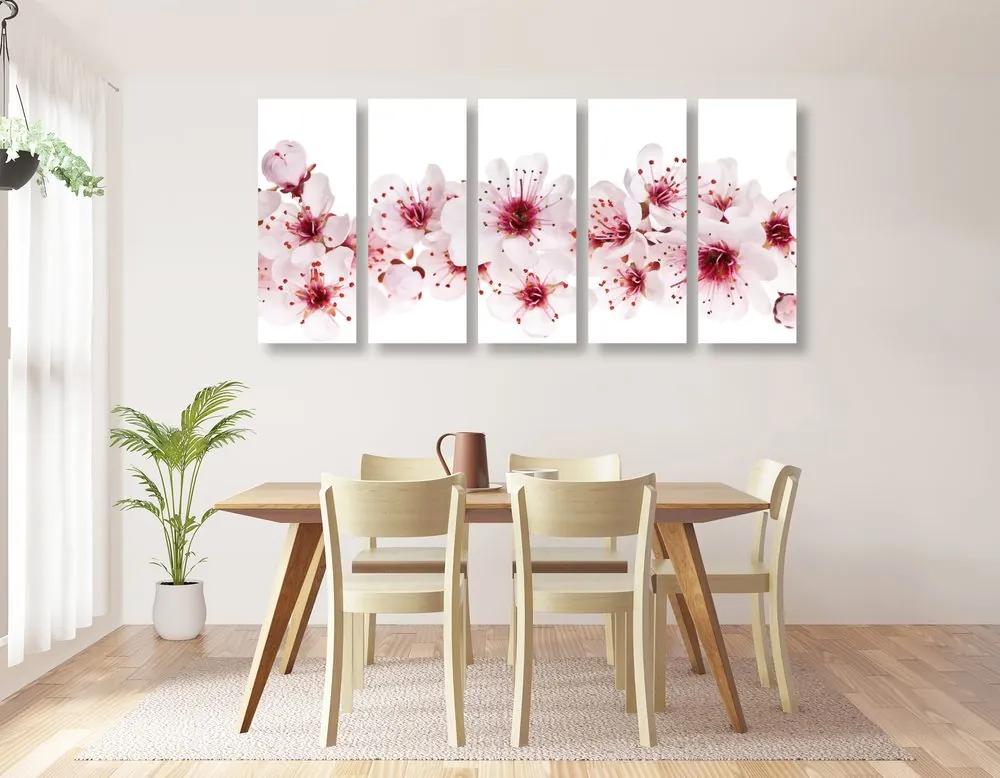 5-dílný obraz třešňové květy Varianta: 100x50