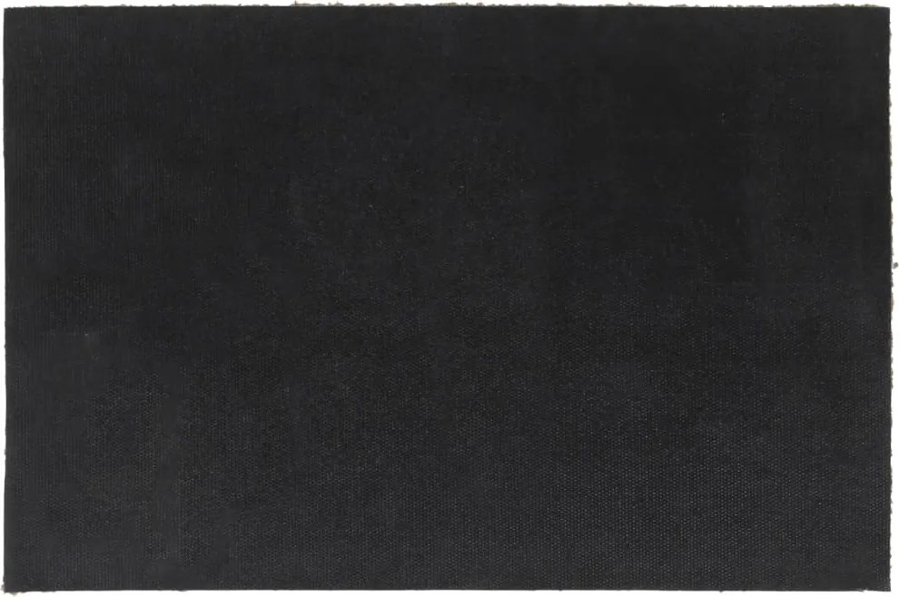Rohožka před dveře přírodní 40 x 60 cm kokosové vlákno 155610