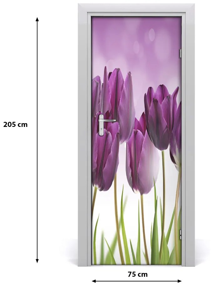 Fototapeta samolepící Fialové tulipány 75x205 cm
