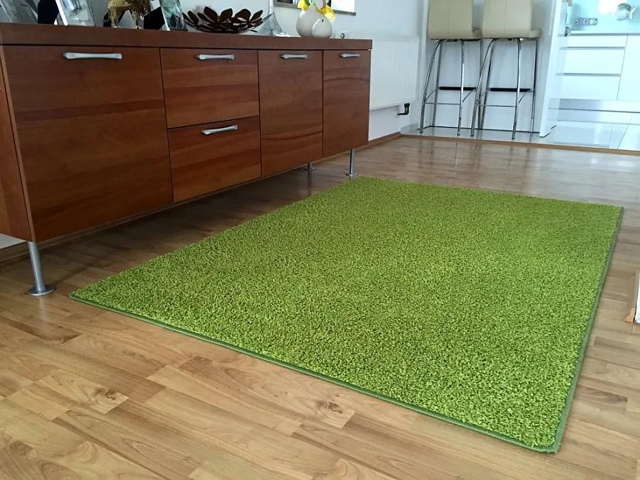 Vopi | Kusový koberec Color Shaggy zelený 200x300 cm, obdélník