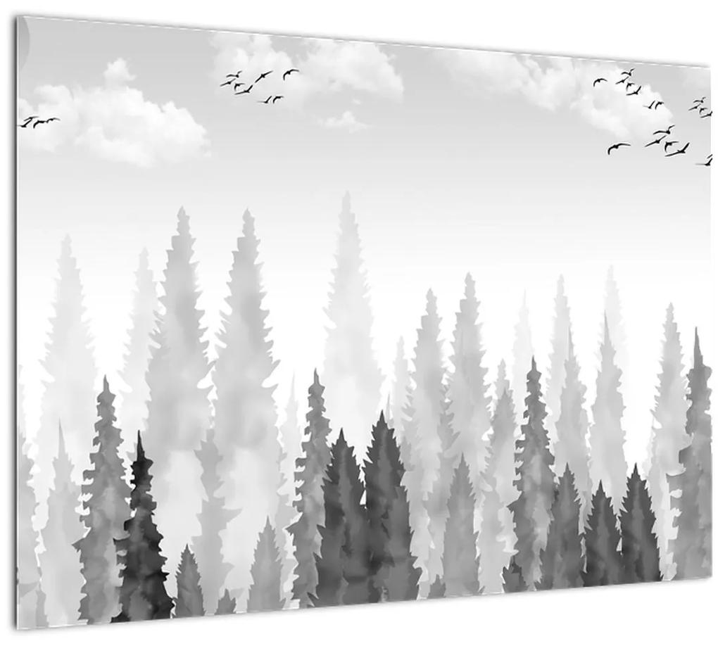 Skleněný obraz - Vrcholky lesů (70x50 cm)