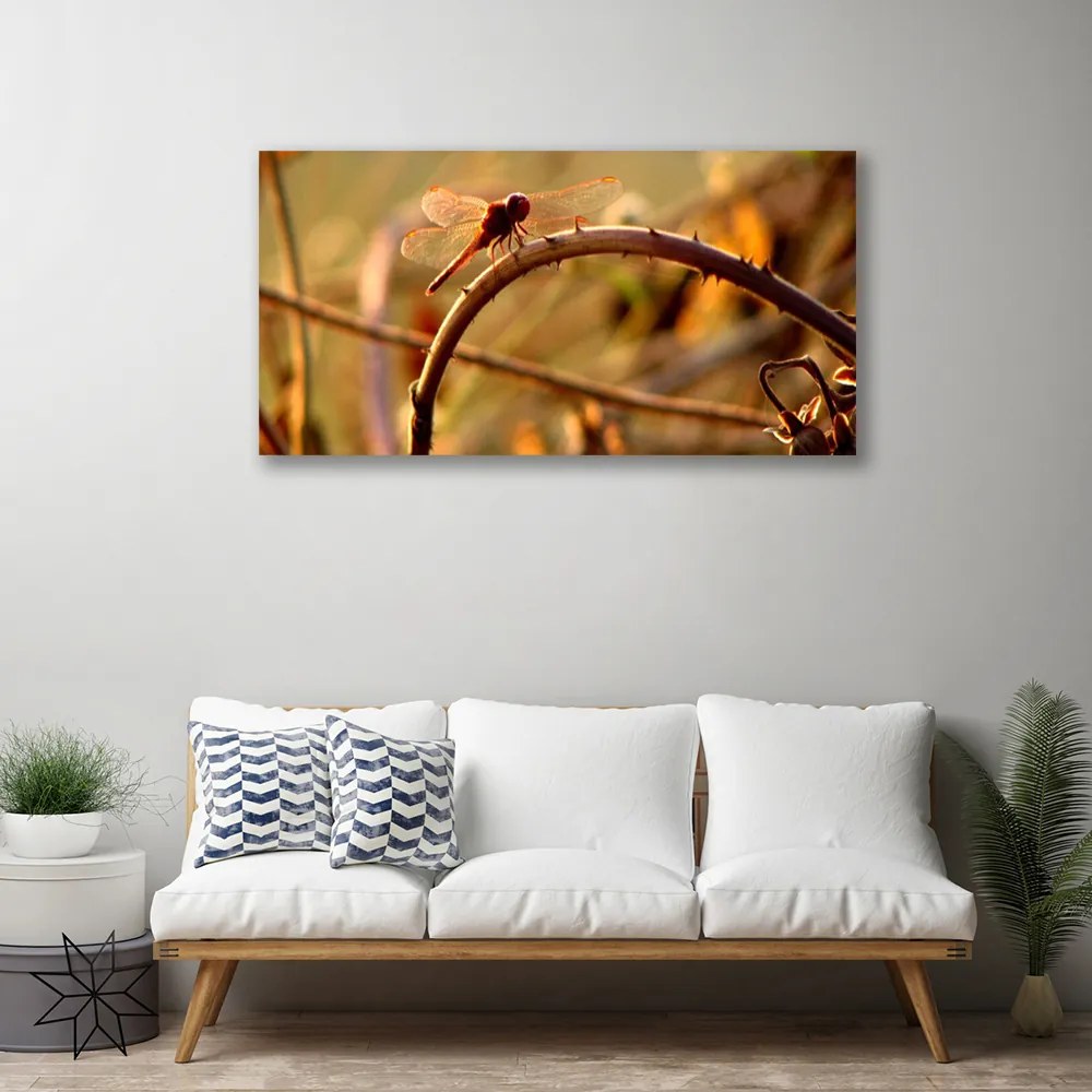 Obraz na plátně Vážka Příroda Rostlina 125x50 cm