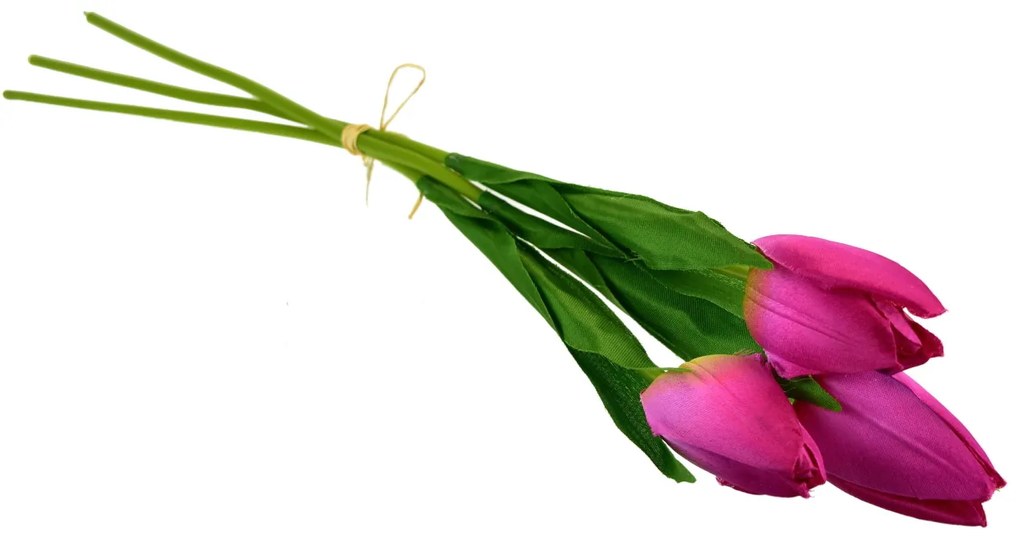 Svazek 3 ks tulipánů vínové 50 cm