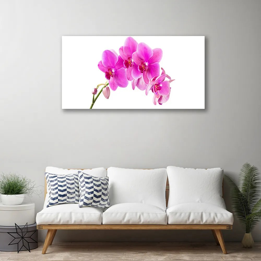 Obraz na plátně Vstavač Květ Orchidej 100x50 cm