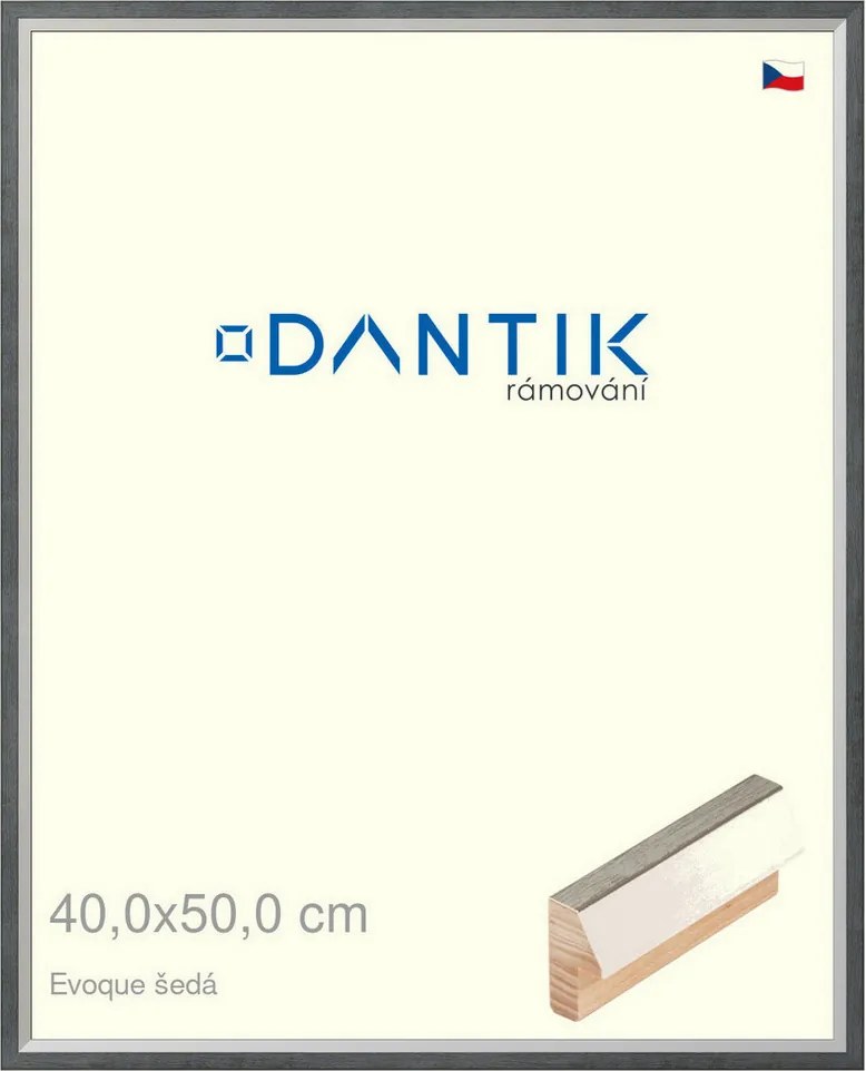 DANTIK rámeček 40x50 | EVOQUE šedá (Plexi Čiré)