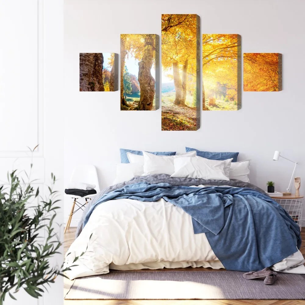 Vícedílný obraz Slunečný Podzimní Les Nedostatek Nedostatek Přírodní plátno 150x90