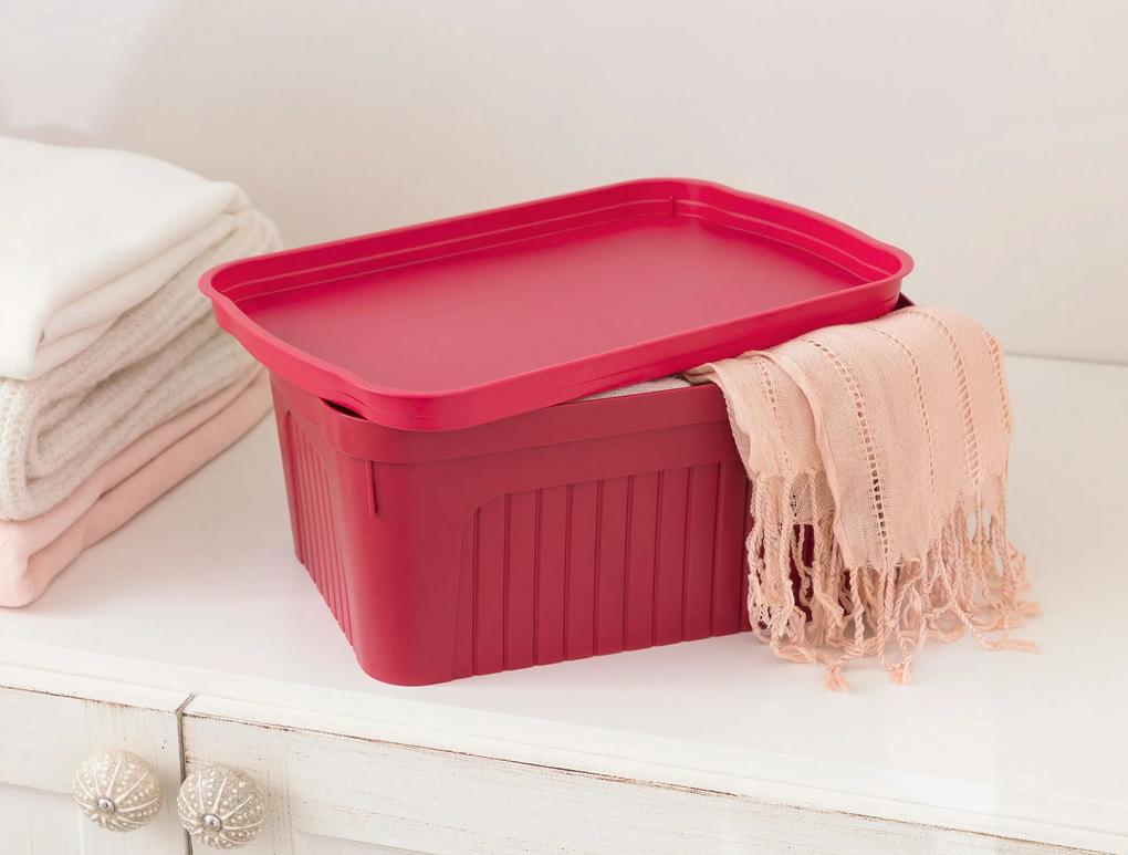 Plastový úložný box s víkem Denys Barva: Červená, velikost: S - 33 x 21,5 x  14,5 cm | BIANO
