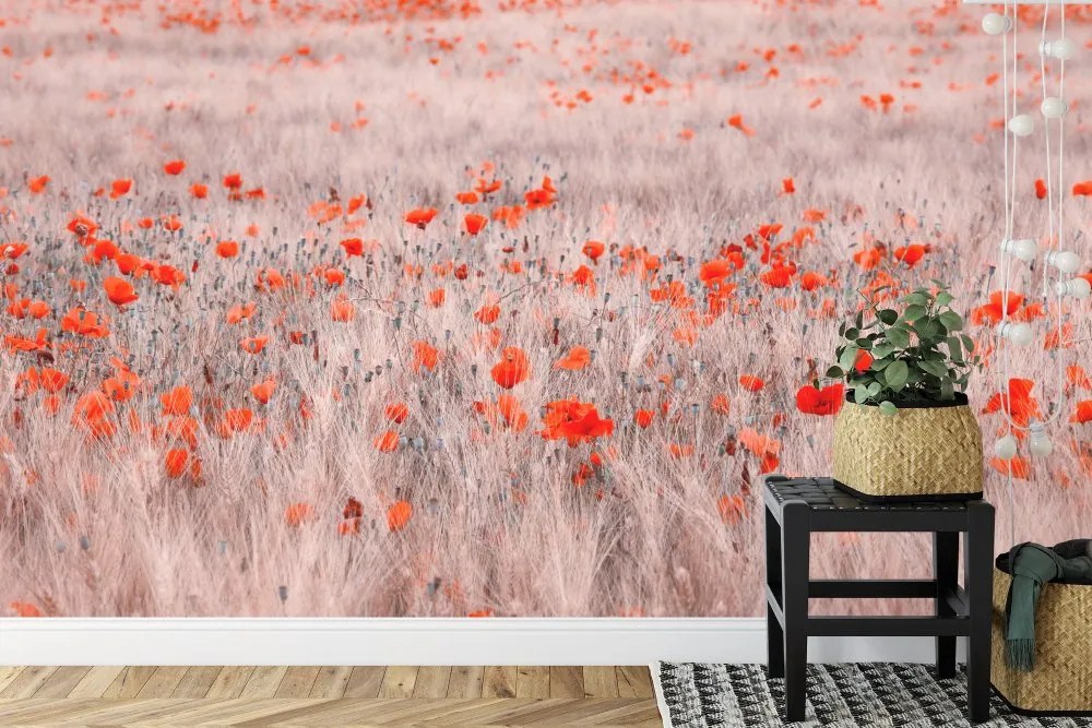 Fototapeta Poppy Field Hladký vinyl 208x146