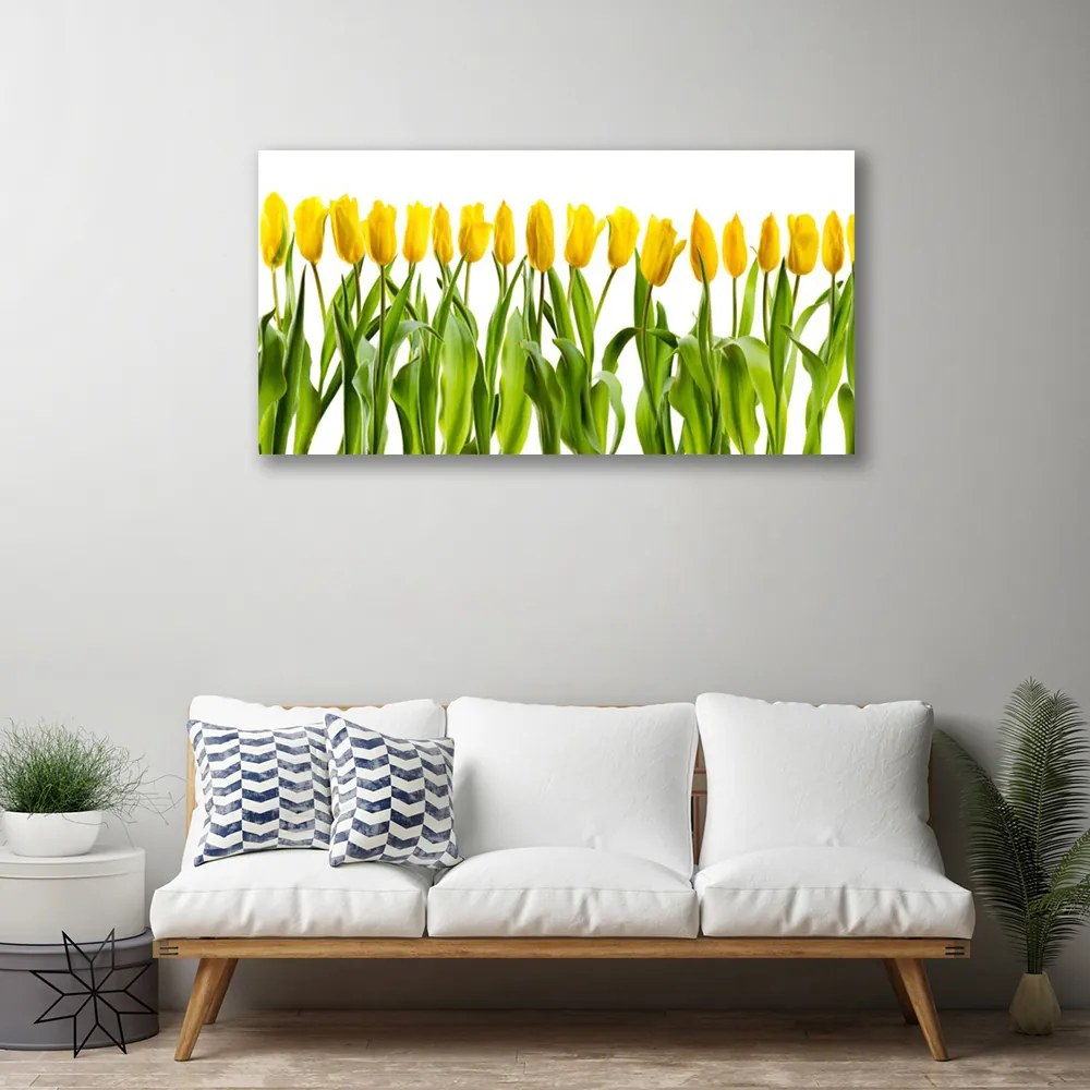 Obraz na plátně Tulipány Květiny Příroda 125x50 cm